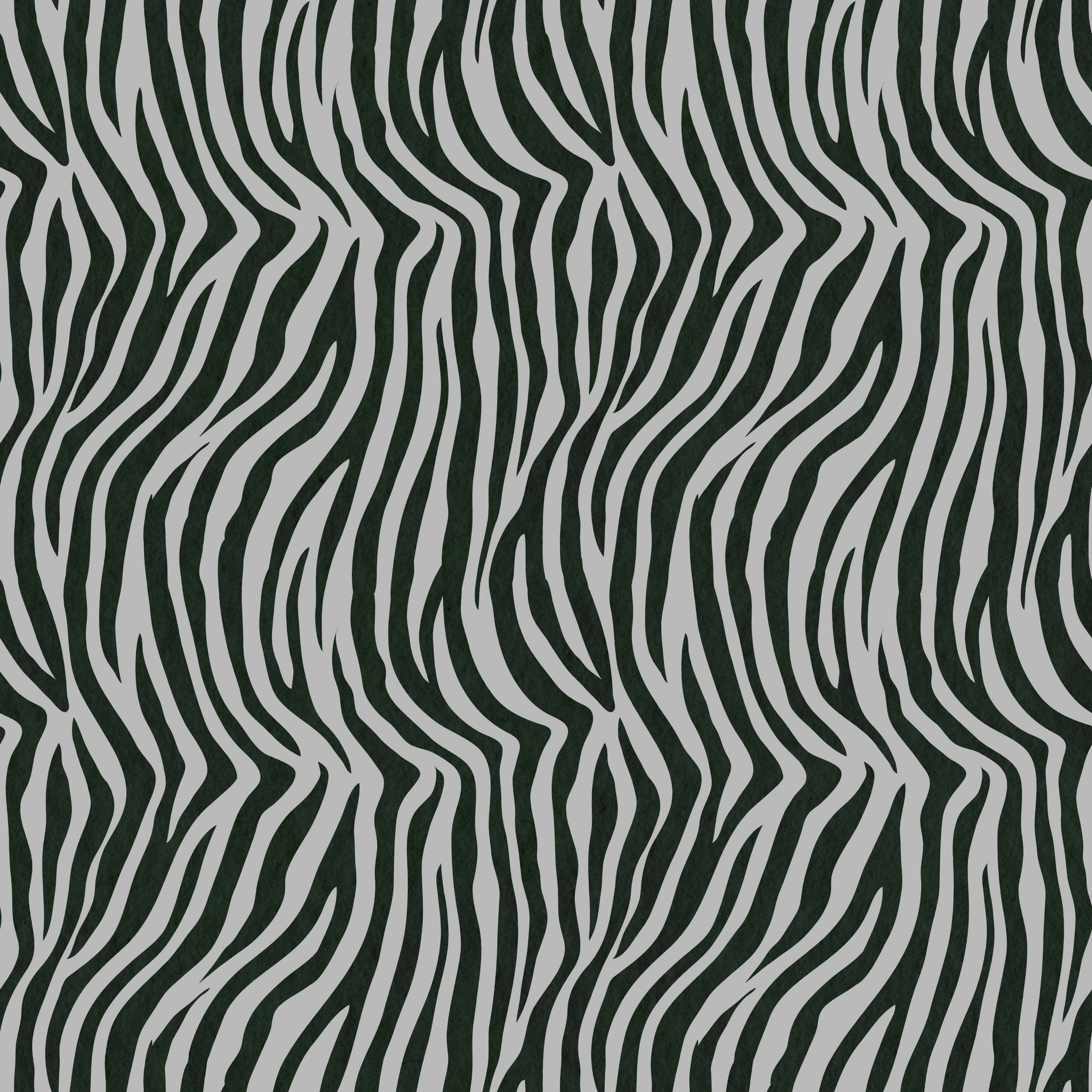 Zebra Pattern and Matching Coordinate Pattern, Baby, Seamless Pattern ...