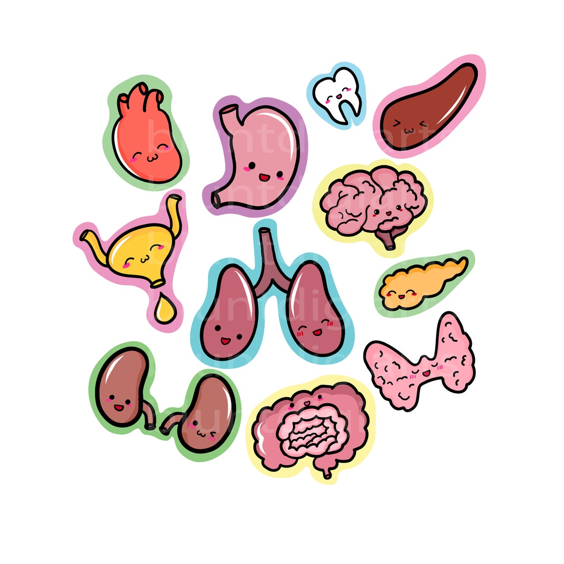 Órganos svg órganos sticker órganos kawaii kawaii stickers | Etsy España