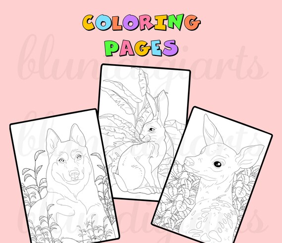 25 Original Coloring Pages From the Animal World Coloring - Etsy