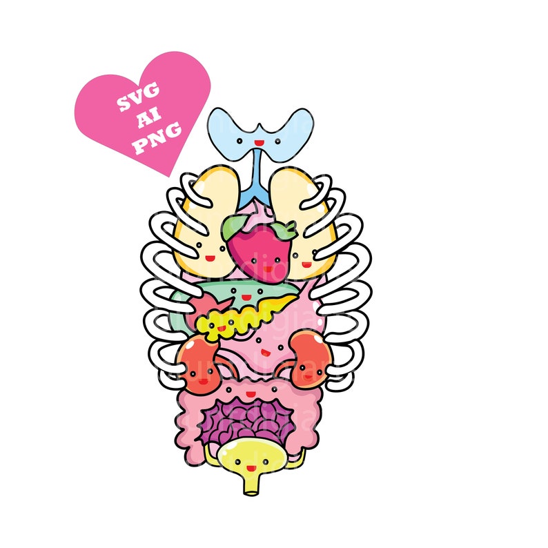 Organs Clipart Organs Sticker Kawaii Organs Kawaii - Etsy