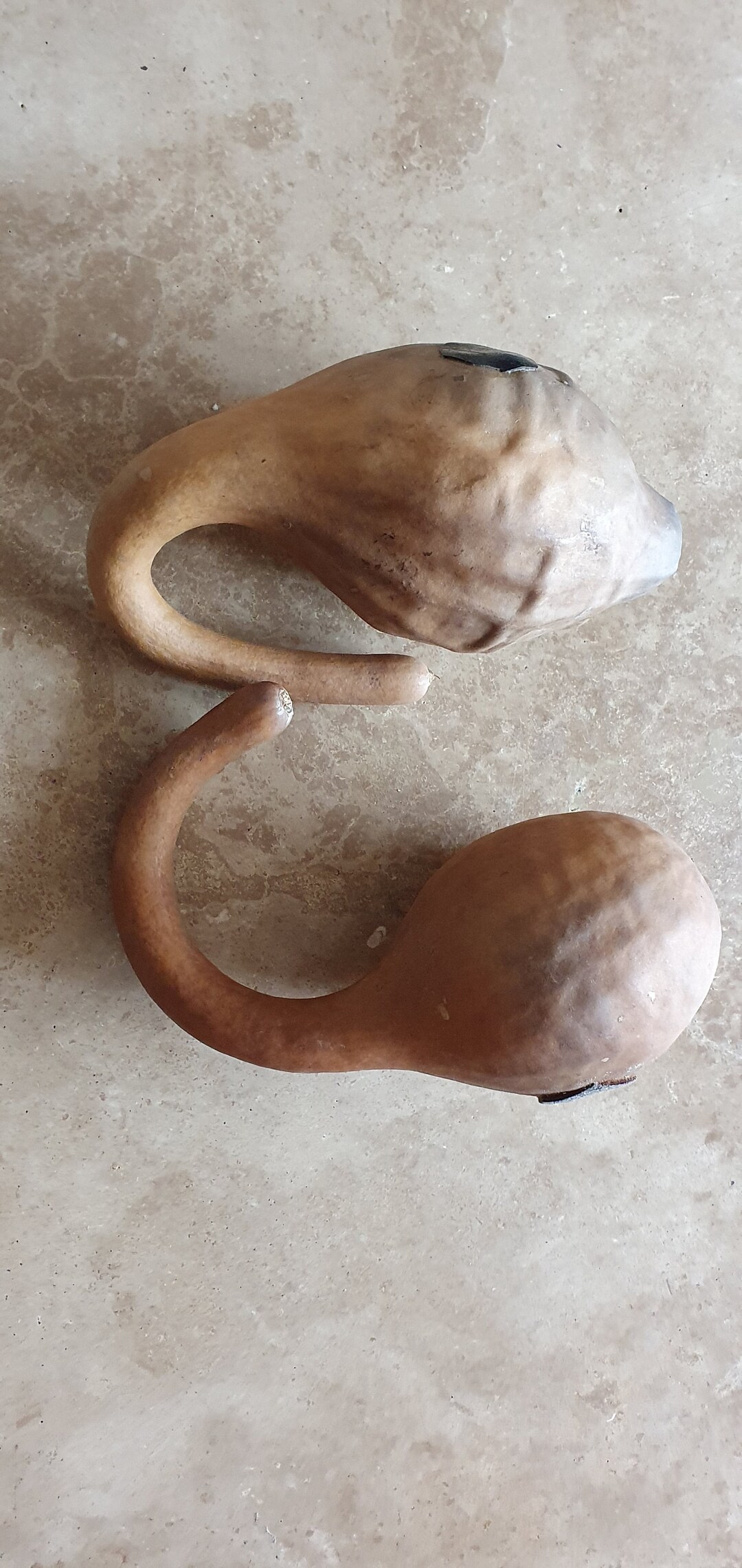 Rattles Maraca Shaker African Gourd A Pair - Etsy