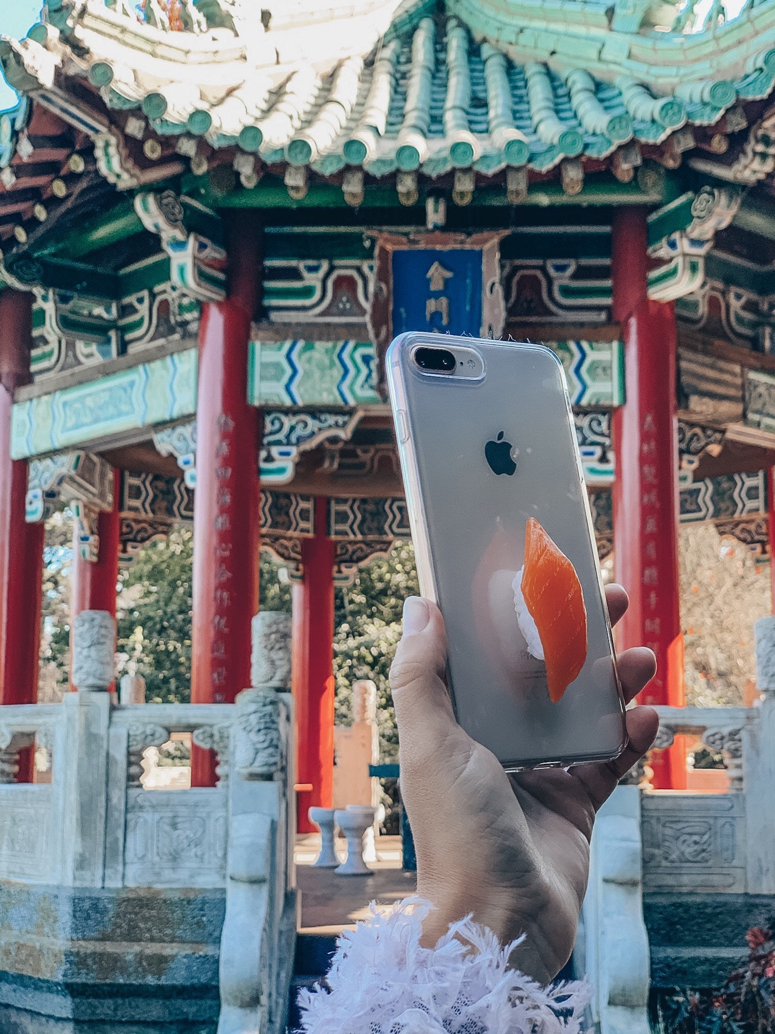 Salmon Sushi Phone Case - Etsy