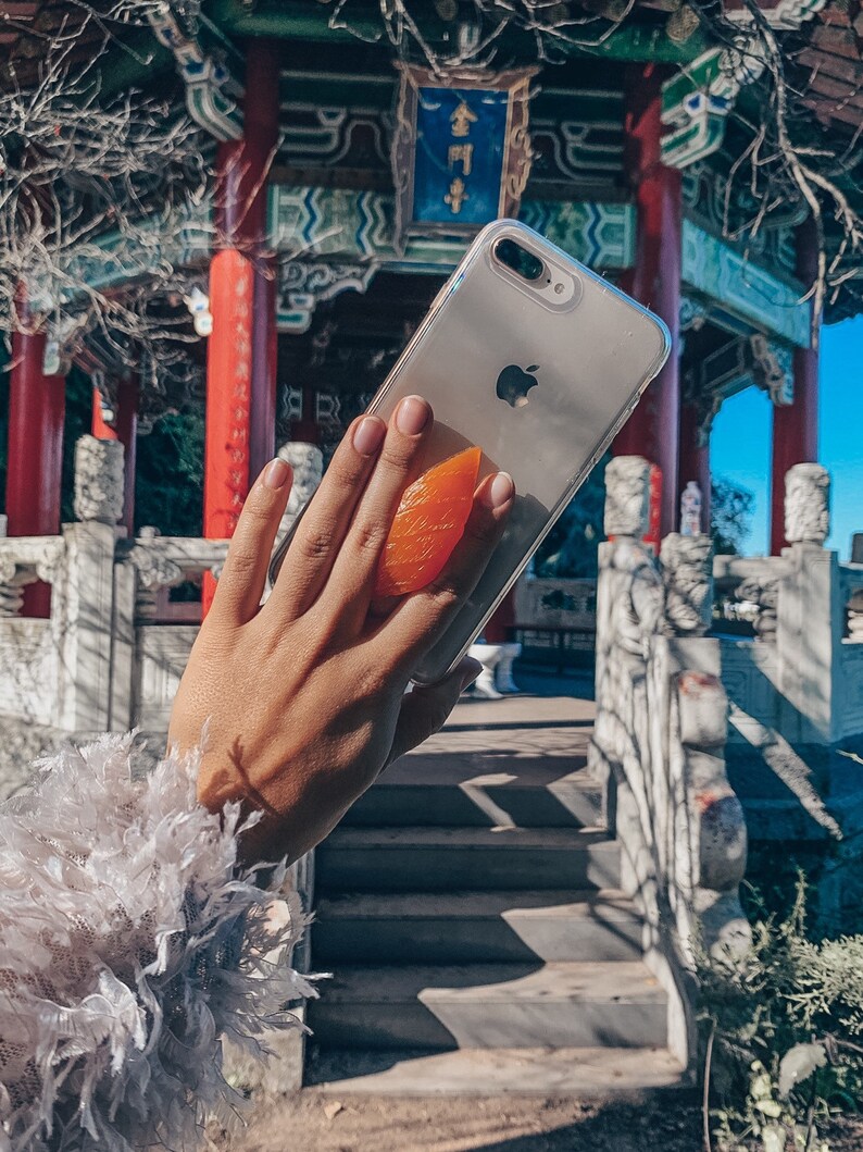 Salmon Sushi Phone Case - Etsy