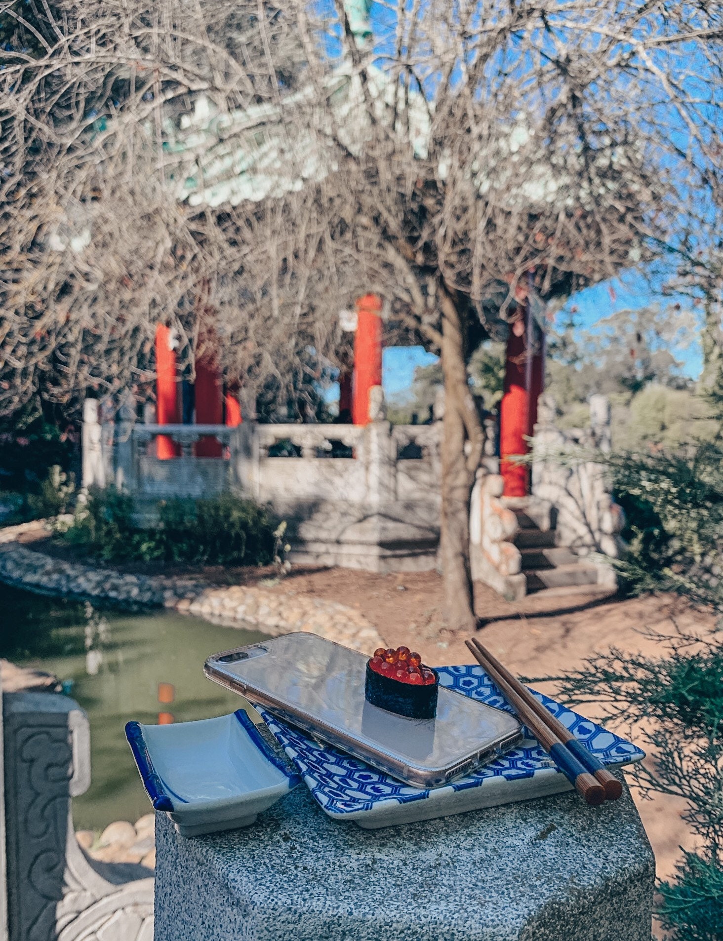 Ikura Sushi Phone Case - Etsy