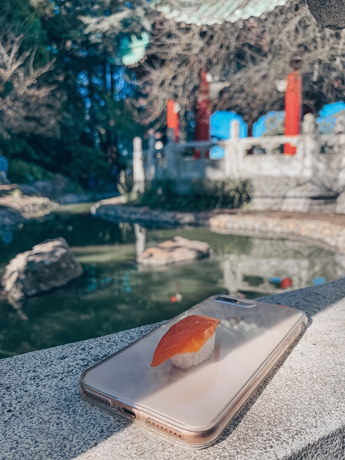 Salmon Sushi Phone Case - Etsy