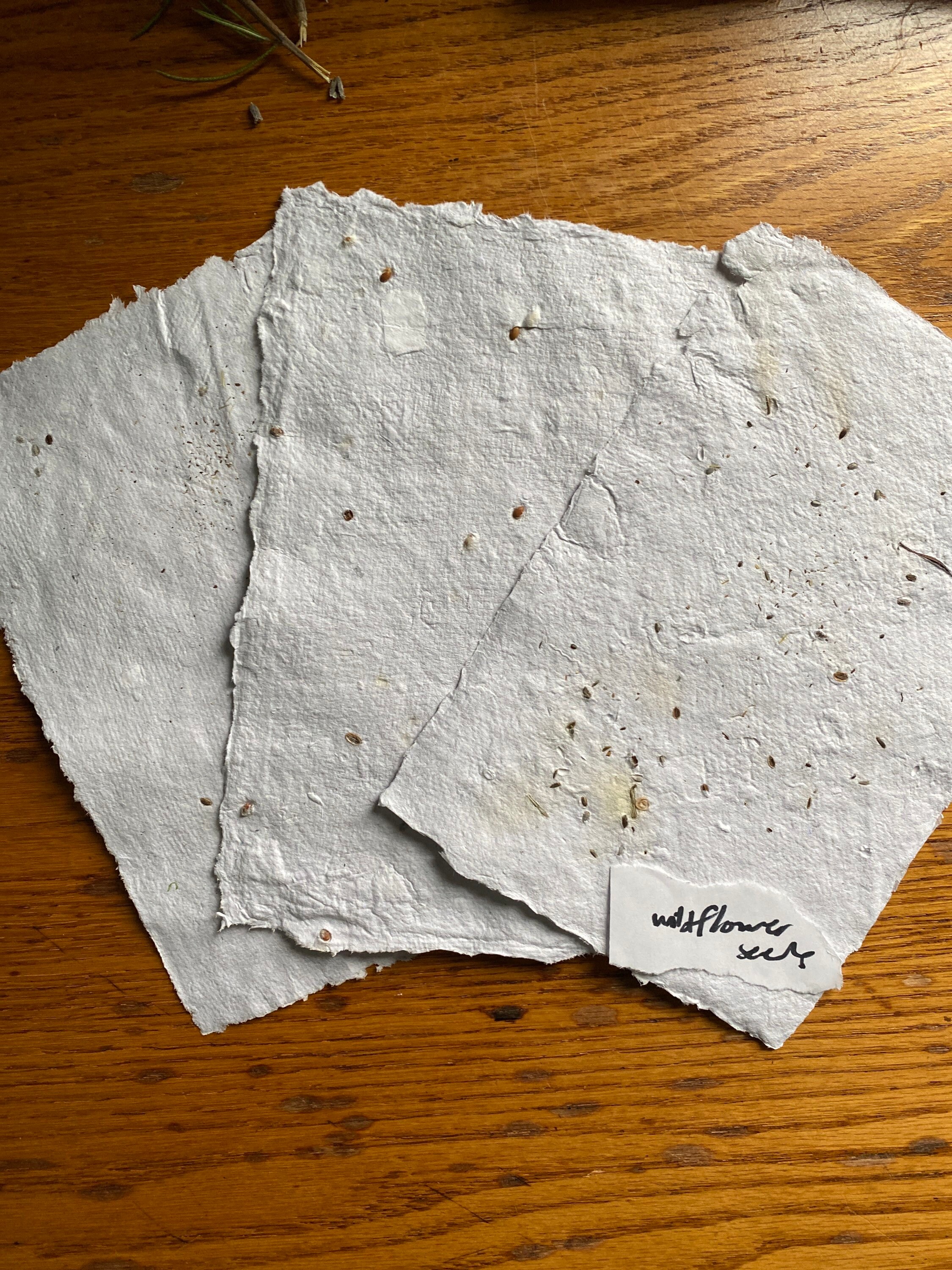Recycled Seed Paper! - Etsy