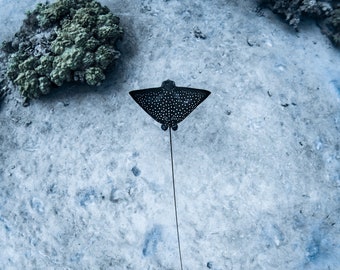 Spotted Eagle Ray Fine Art Photo Print - Etsy