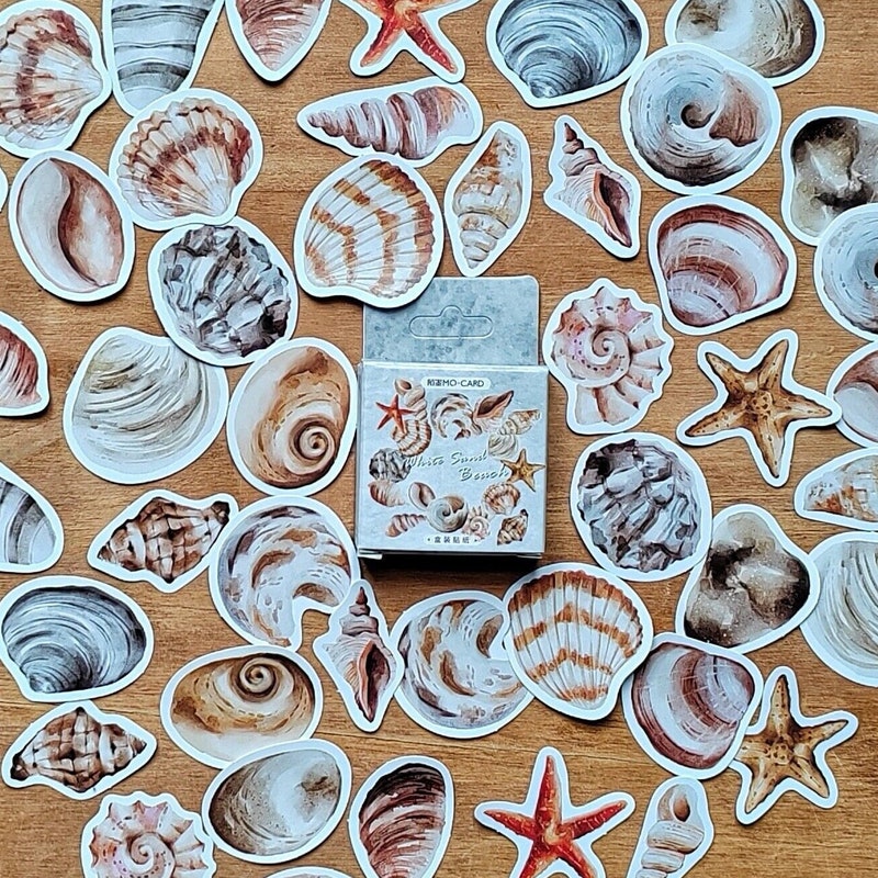 Aesthetic Sea Shells - Etsy Australia