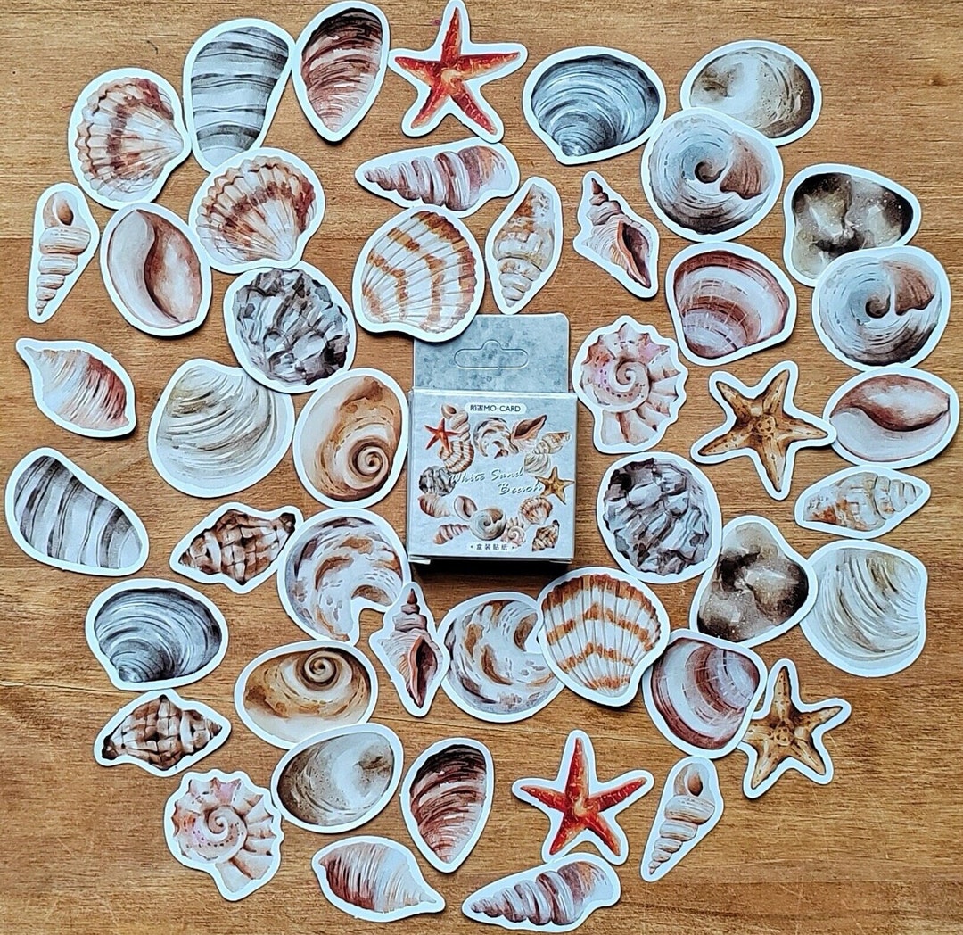46 Pieces Seashell Stickers Pack,beach Aesthetic Stickers,seashell ...