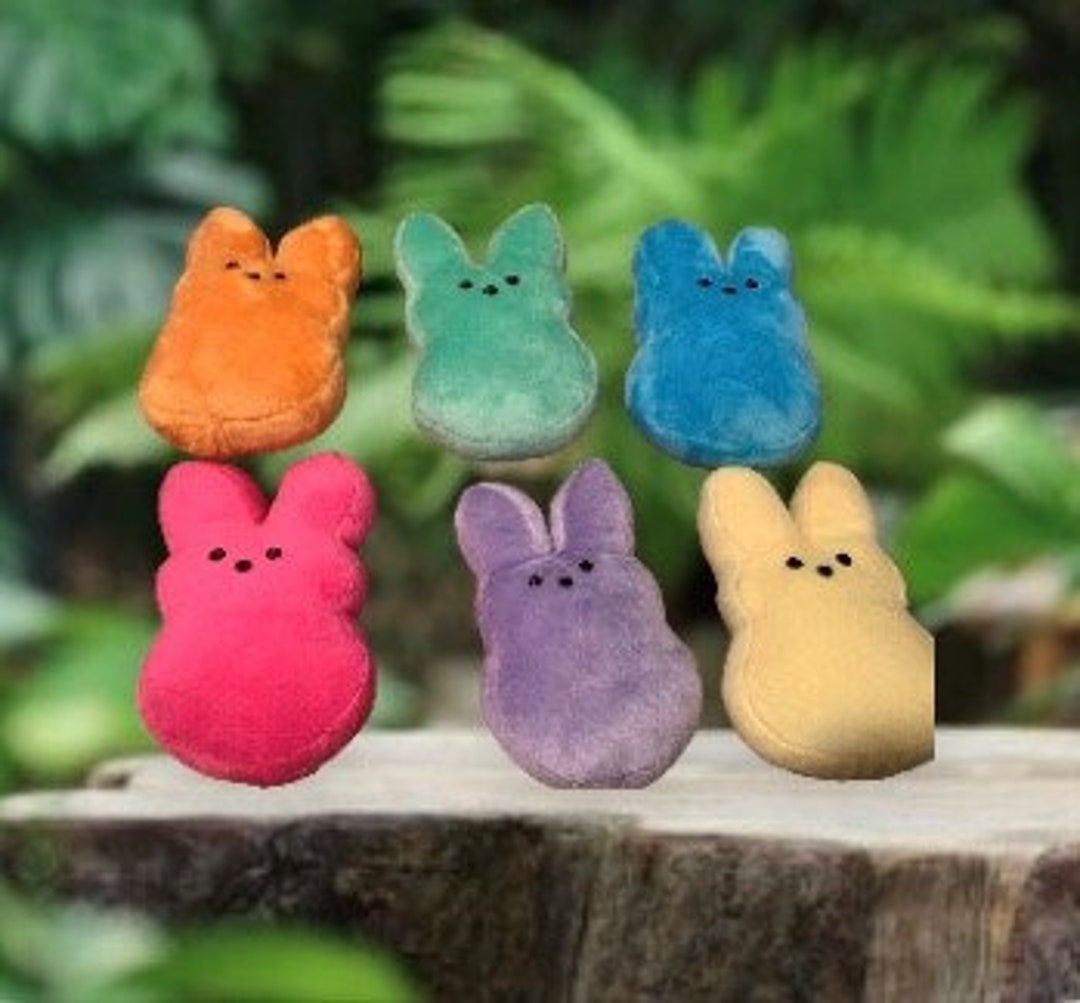 6" Personalized Plush Peep - Etsy