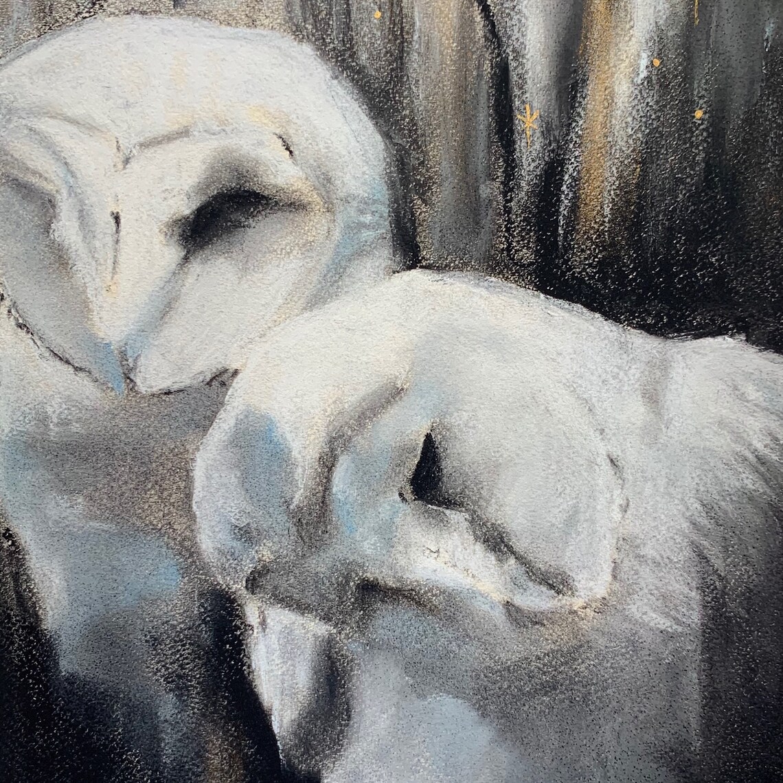 The Ghost Owls Art Print Barn Owl Print Owl Picture Owl - Etsy