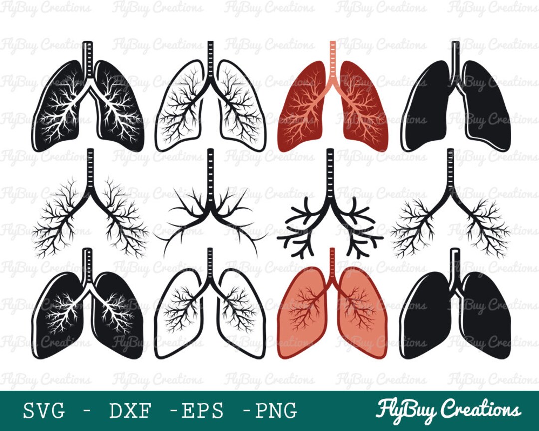 Human Lung Svg, Lungs Svg, Respiratory System Svg, Pulmonology Svg ...