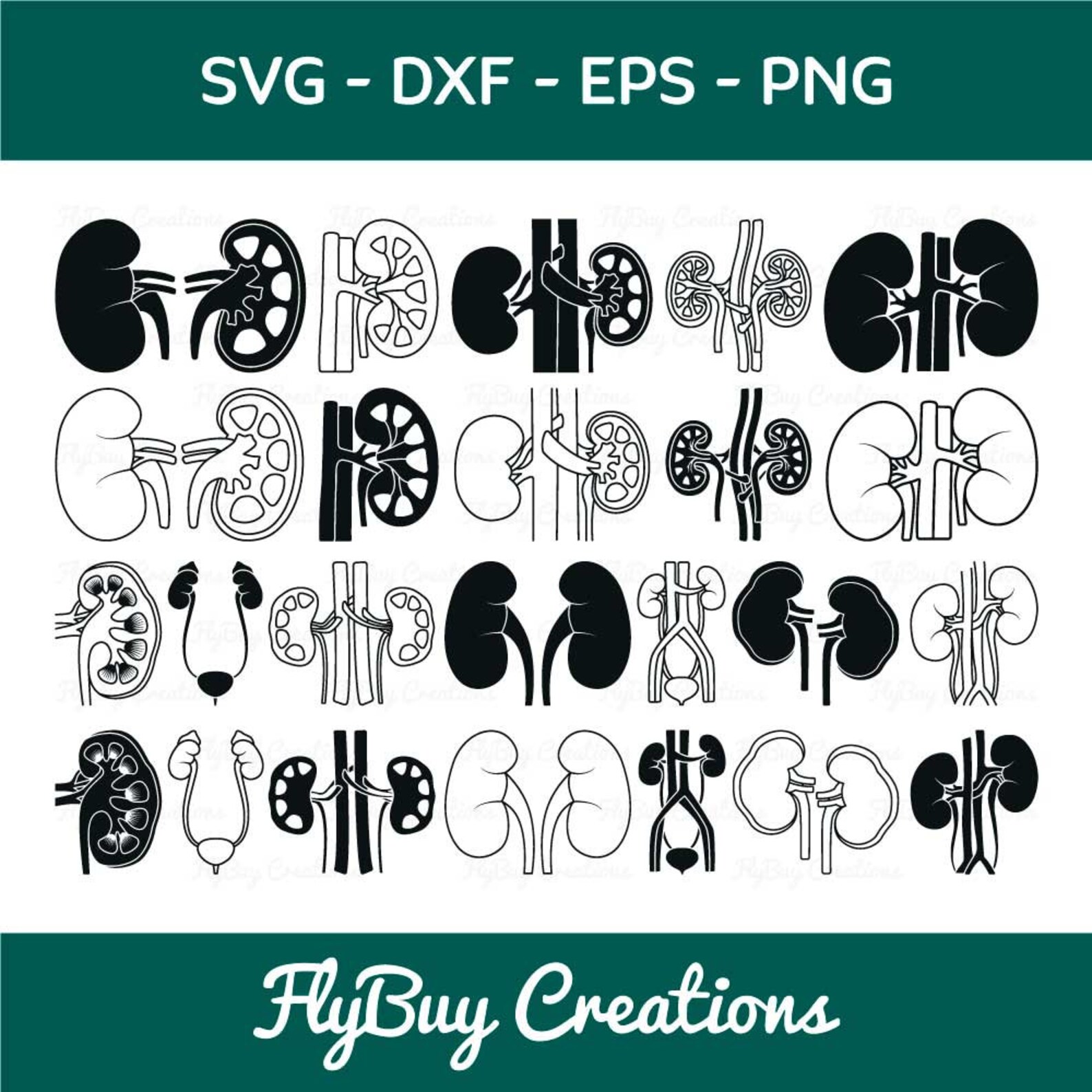 Human Kidney Svg-urinary Bladder Silhouette Cut File Bundle - Etsy