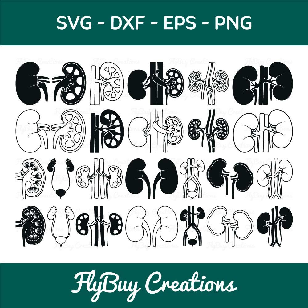 Human Kidney Svg-urinary Bladder Silhouette Cut File Bundle - Etsy