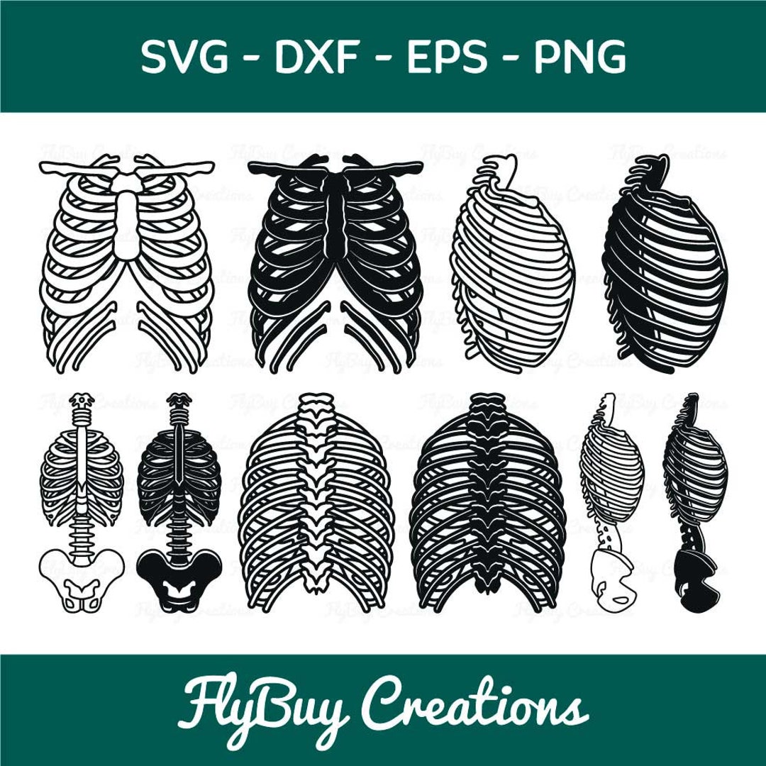 Skeleton Rib Cage SVG Bundle, Human Ribs Svg, Ribcage Svg, Human Bones ...
