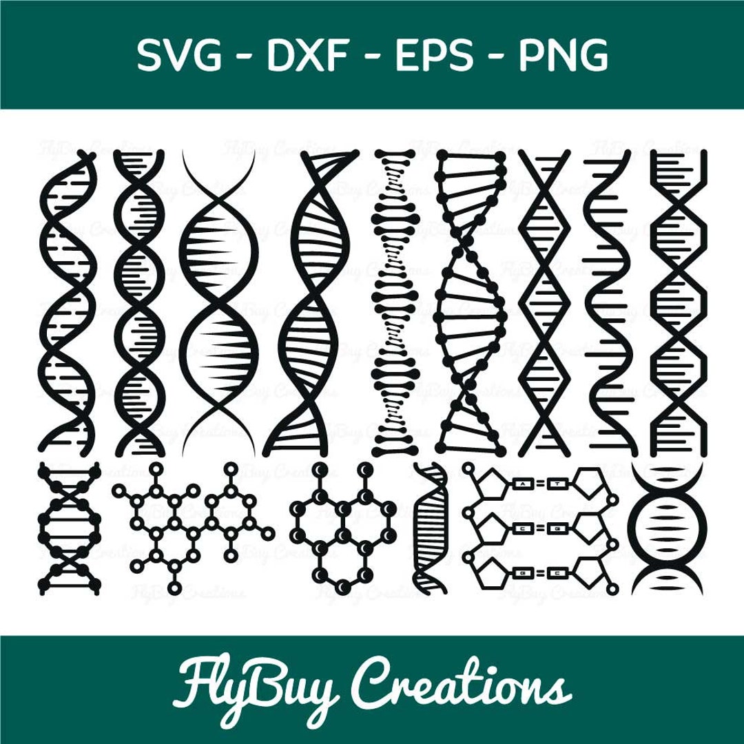 DNA SVG Bundle-dna Molecule Svg-genetic Svg-dna Strand Svg-dna Model ...