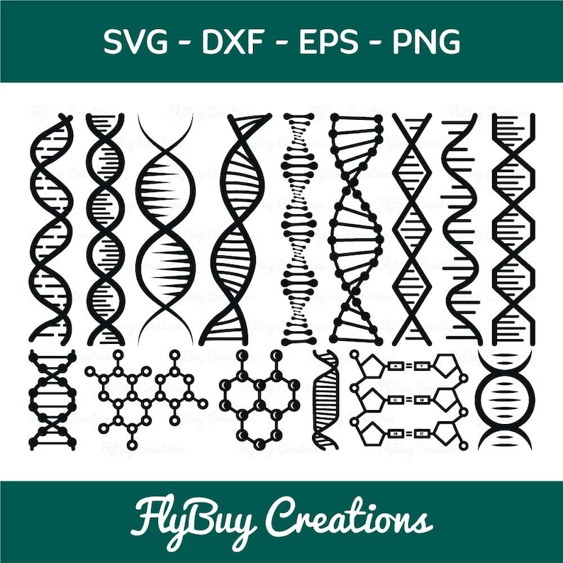 DNA SVG Bundle-dna Molecule Svg-genetic Svg-dna Strand Svg-dna Model ...