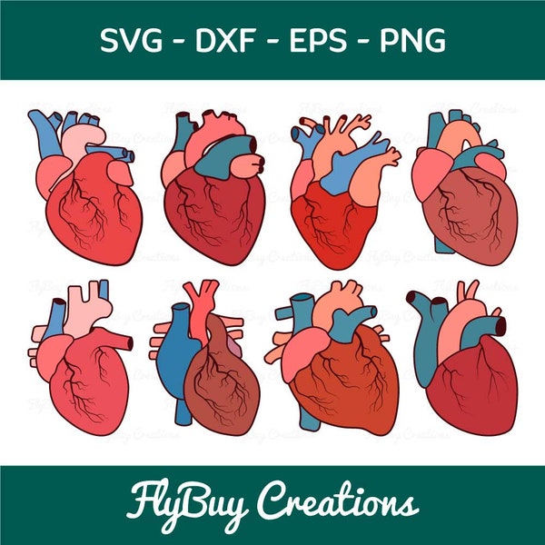 Realistic Heart - Etsy