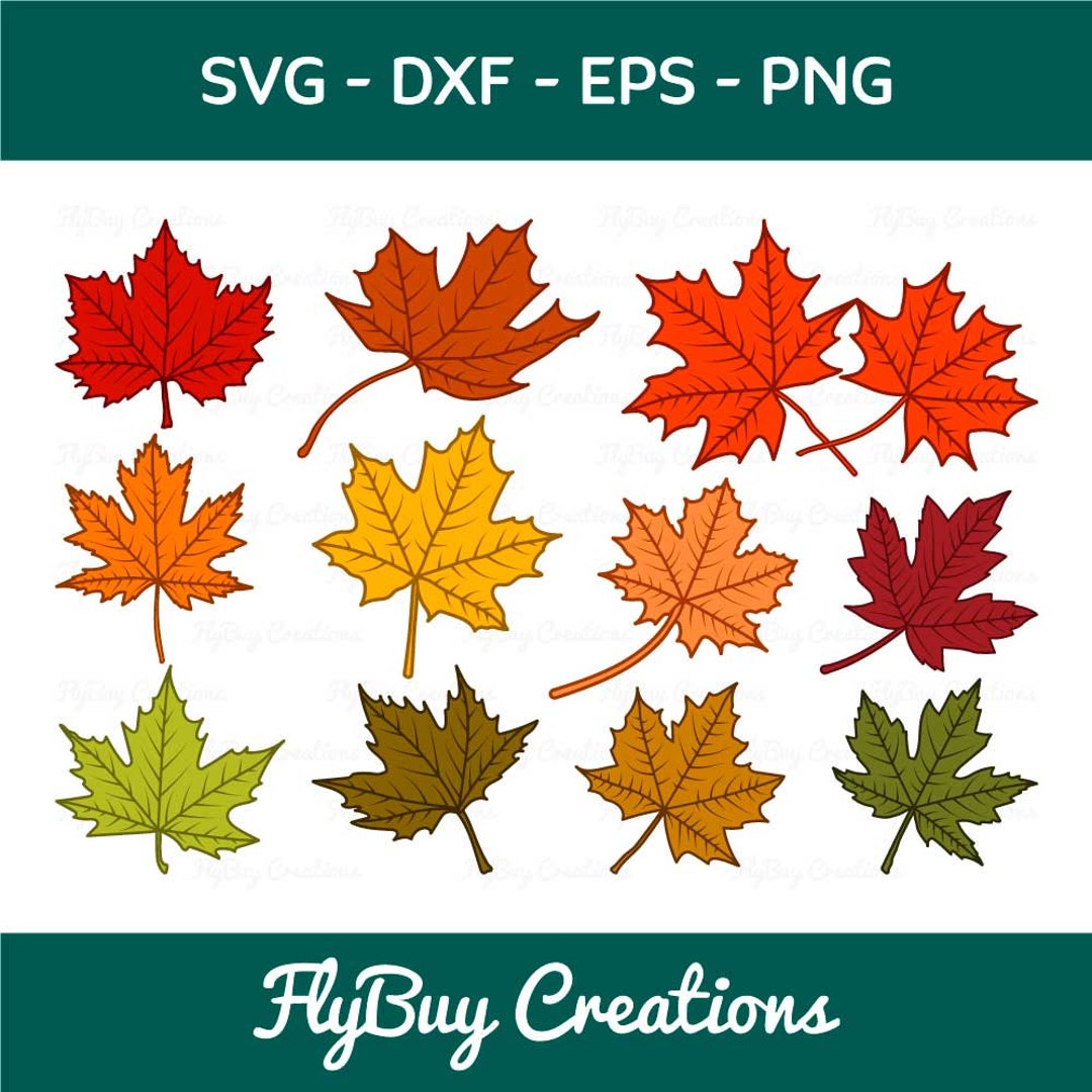 Maple Leaf Svg-fall Leaves Clipart Cut File Bundle - Etsy