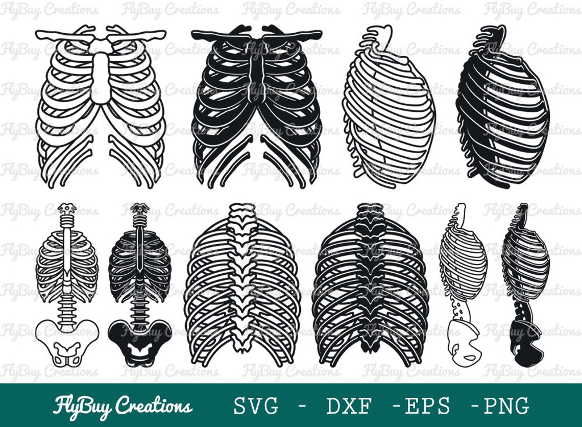 Skeleton Rib Cage SVG Bundle, Human Ribs Svg, Ribcage Svg, Human Bones ...