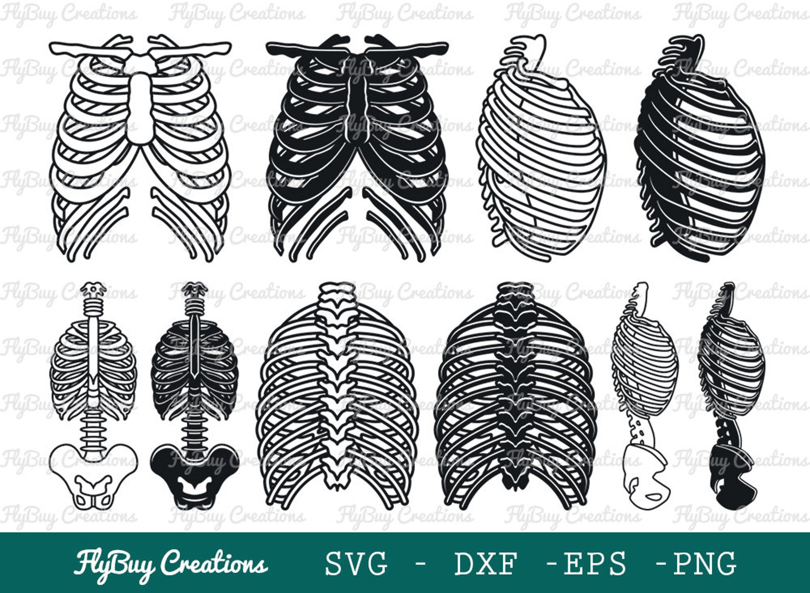 Skeleton Rib Cage SVG Bundle, Human Ribs Svg, Ribcage Svg, Human Bones ...