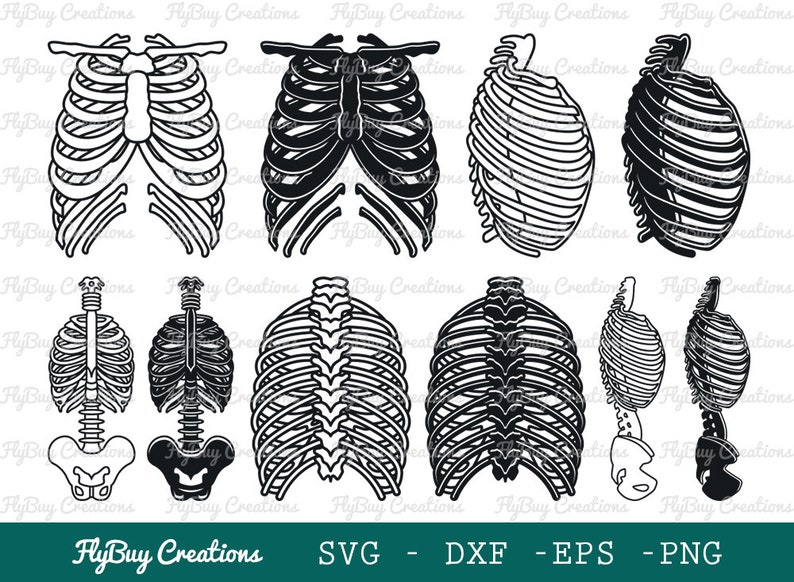 Skeleton Rib Cage SVG Bundle, Human Ribs Svg, Ribcage Svg, Human Bones ...