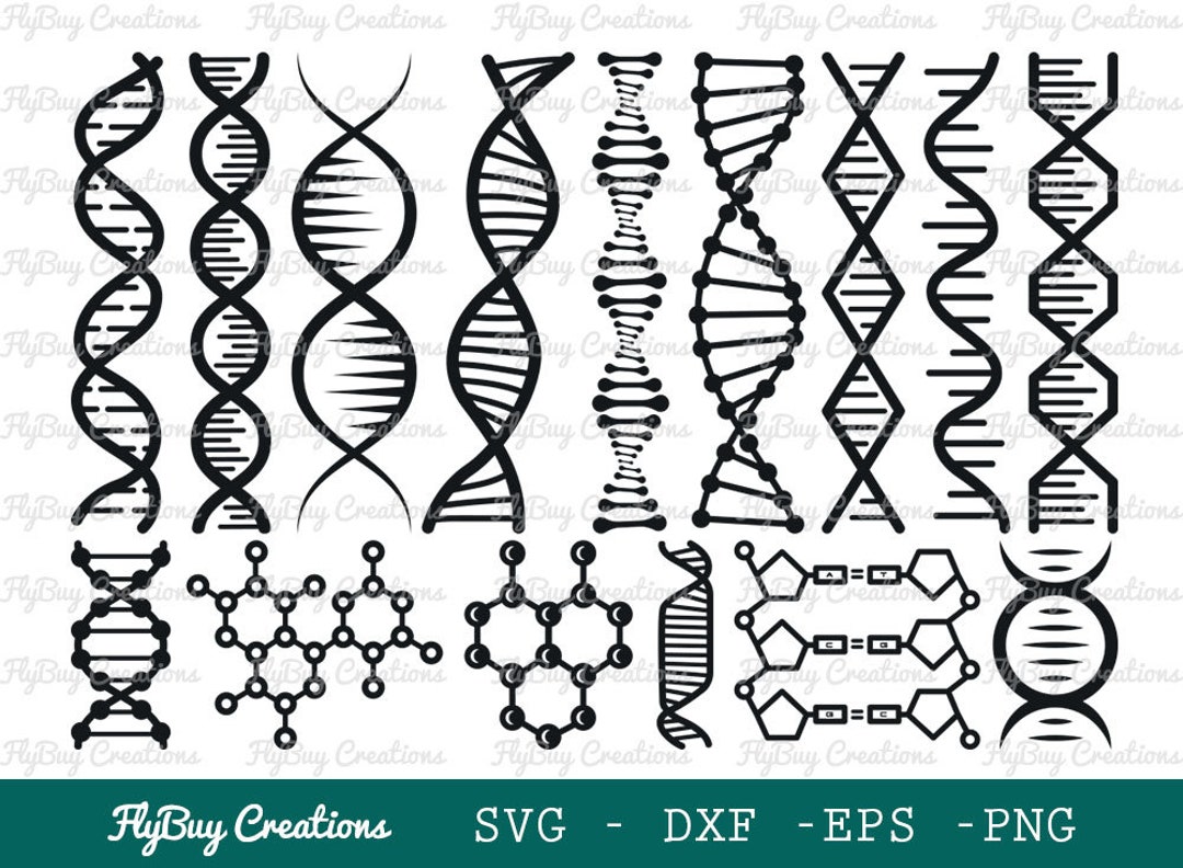 DNA SVG Bundle-dna Molecule Svg-genetic Svg-dna Strand Svg-dna Model ...