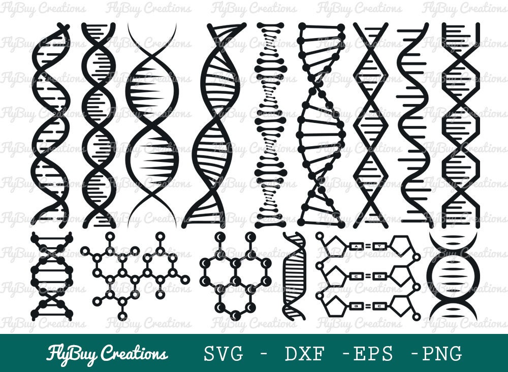 DNA SVG Bundle-dna Molecule Svg-genetic Svg-dna Strand Svg-dna Model ...