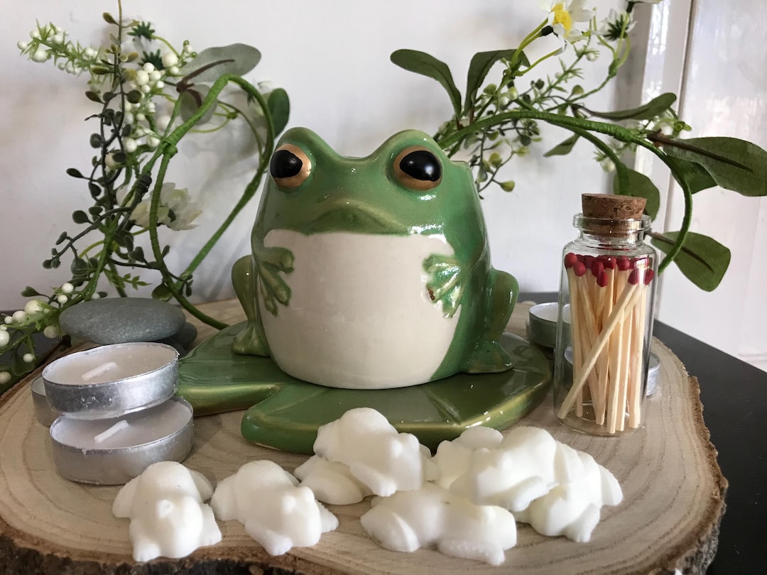 Frank the Frog Wax Burner Gift Set With Soy Wax Melts, Frogs, Wax Melt Giftset, Home Fragrance ...
