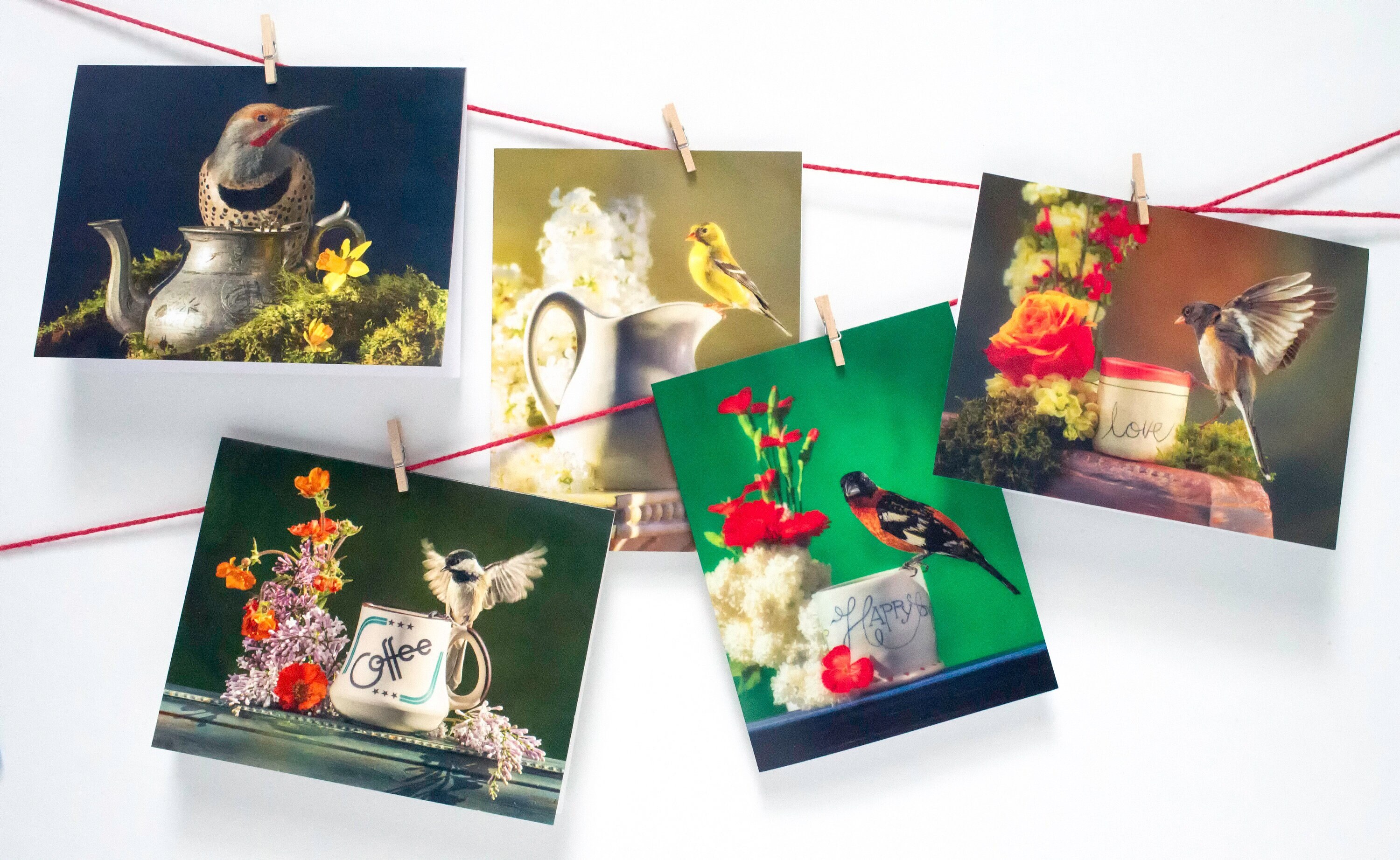 Boxed Greeting Cards Blank at Amy Hartzell blog