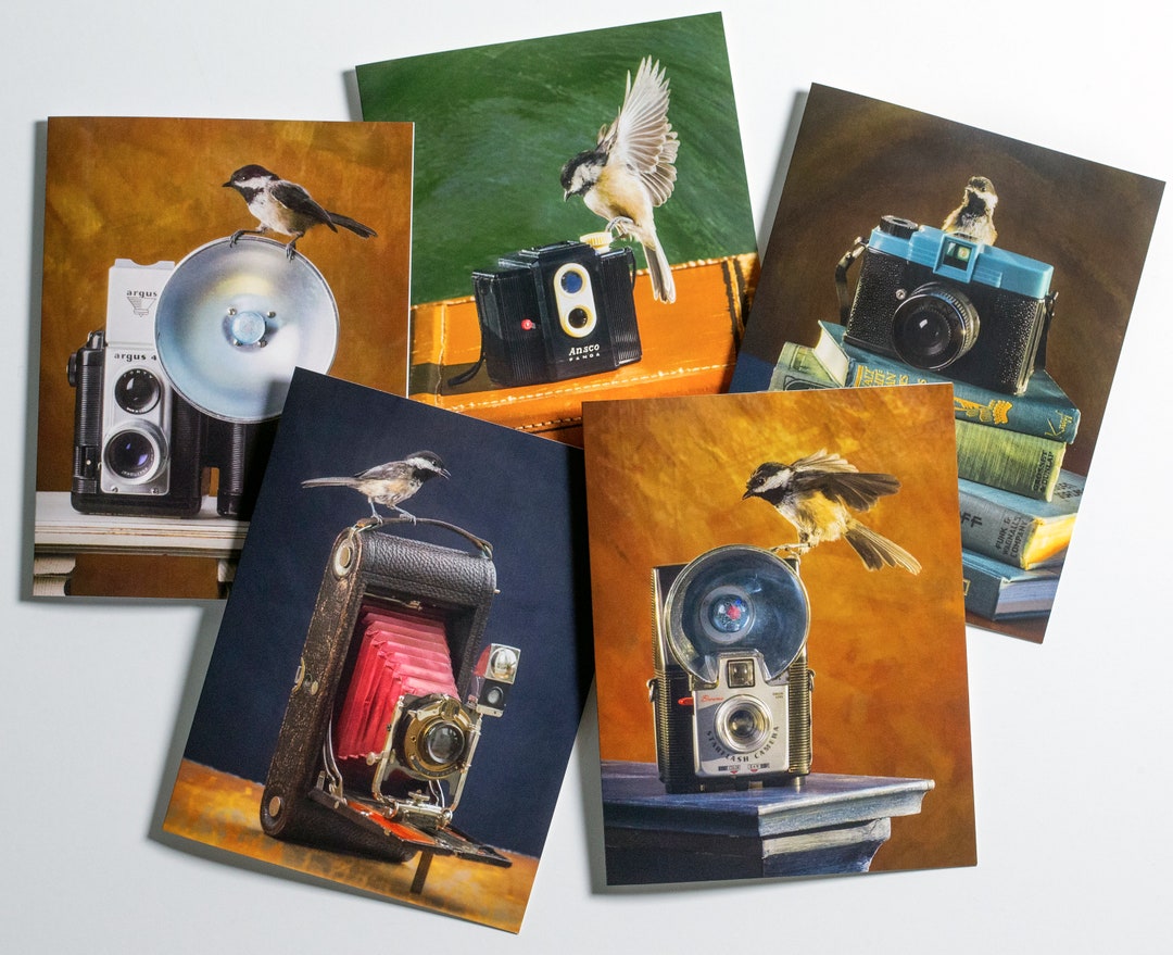Vintage Camera Series - (with Chickadee!) - Boxed Greeting Card Set - Etsy