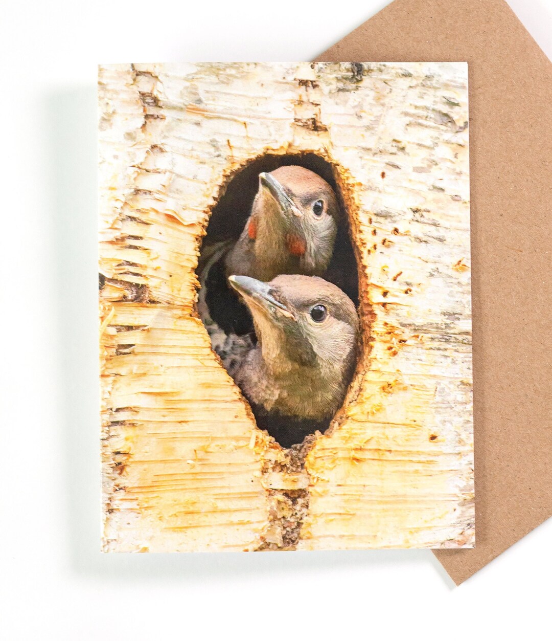 Flicker Fledglings - Blank Folded Note Card - Northern Flicker - Etsy