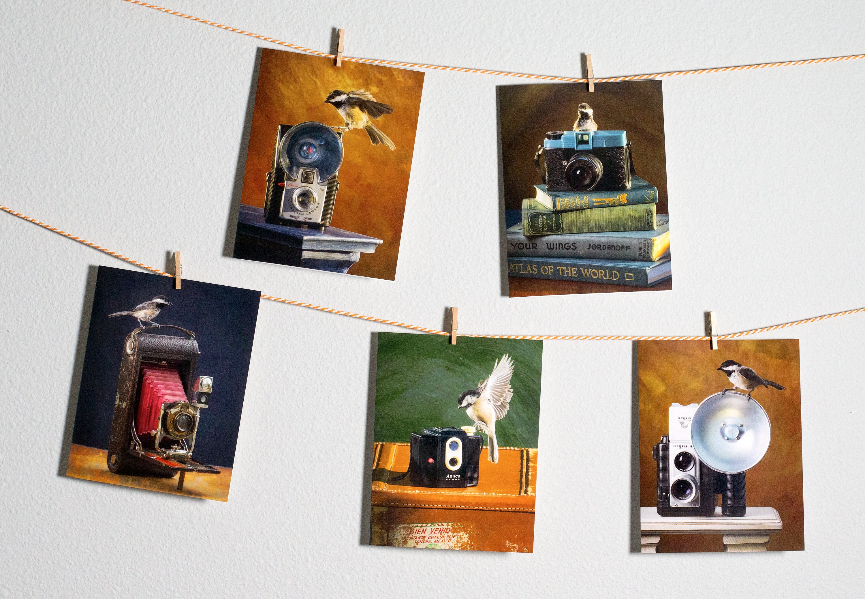 Vintage Camera Series - (with Chickadee!) - Boxed Greeting Card Set - Etsy