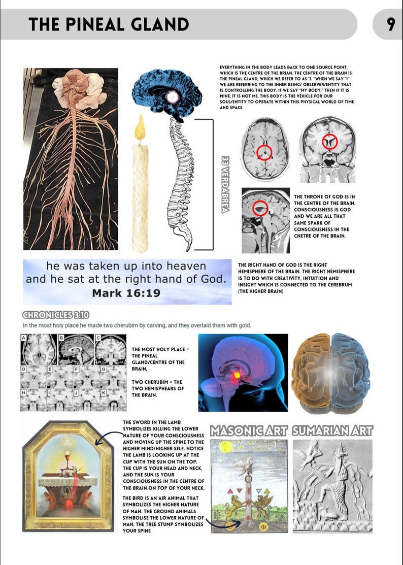 Book of Wisdom - Etsy