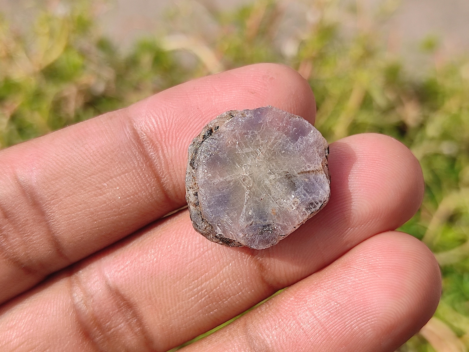 RARE TRAPICHE SAPPHIRE Raw Natural Trapiche Sapphire Crystal - Etsy