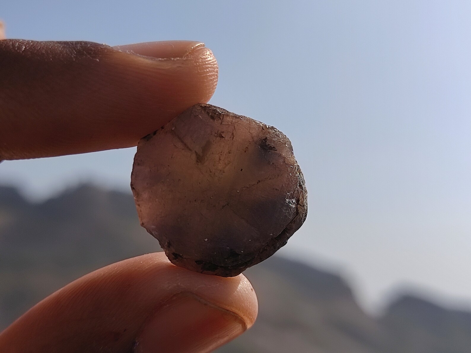 RARE TRAPICHE SAPPHIRE Raw Natural Trapiche Sapphire Crystal | Etsy