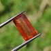 KYANITE Crystal - Rare Orange Kyanite Faceted Crystal - Kyanite Loose ...