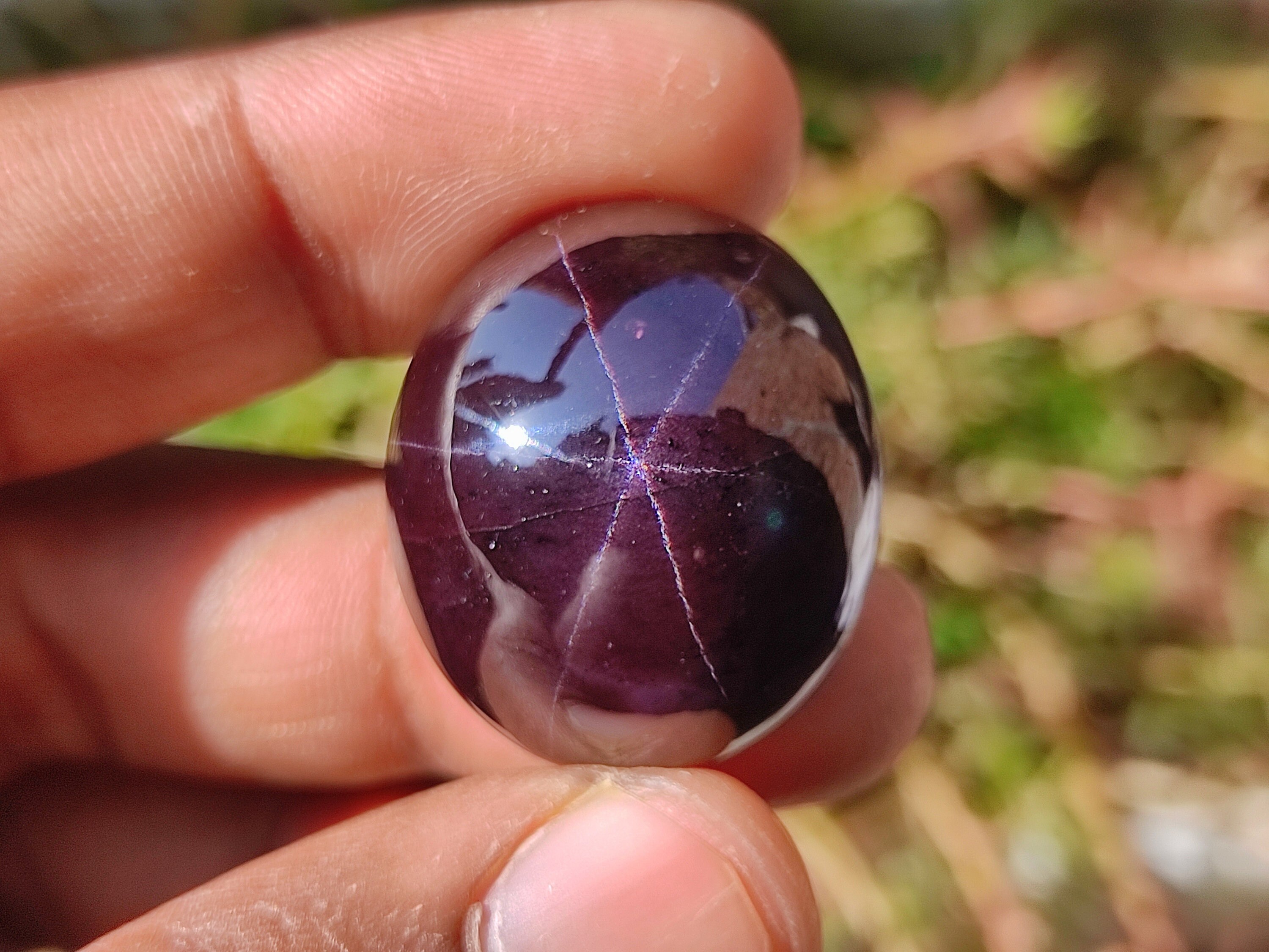 Star Garnet Gem