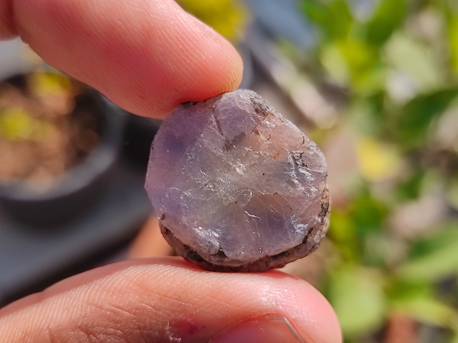 RARE TRAPICHE SAPPHIRE Raw Natural Trapiche Sapphire Crystal - Etsy