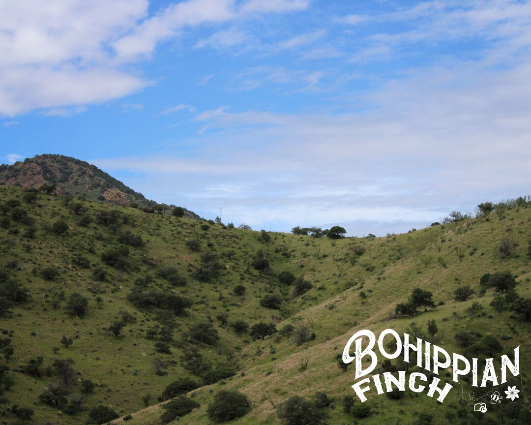 Digital Download Arizona Hills in the Summer Color Photograph - Etsy