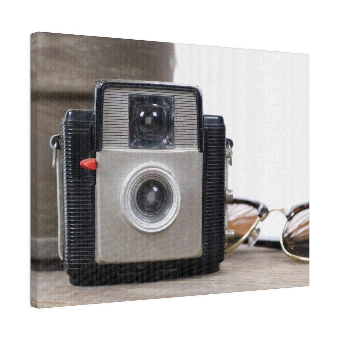 Vintage Film Camera Next to Flower Pot and Sunglasses Color Matte ...