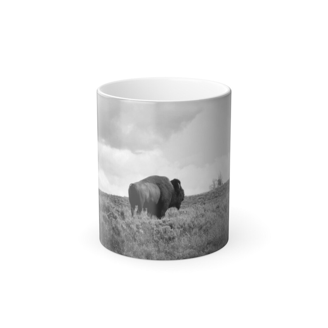Black & White American Bison Standing in a Field Printed Color Morphing ...