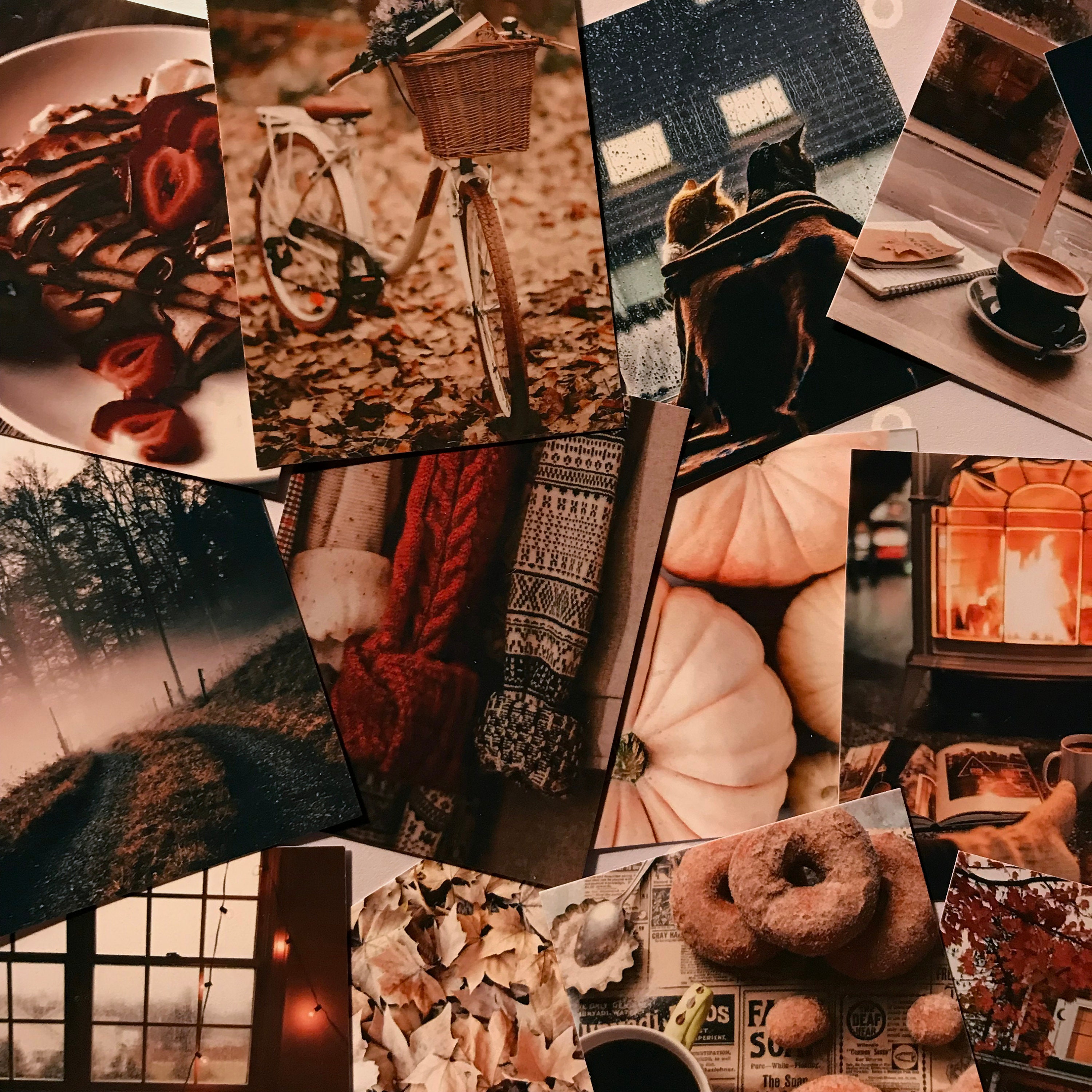 15 Pcs Autumn Polaroid Photos - Etsy