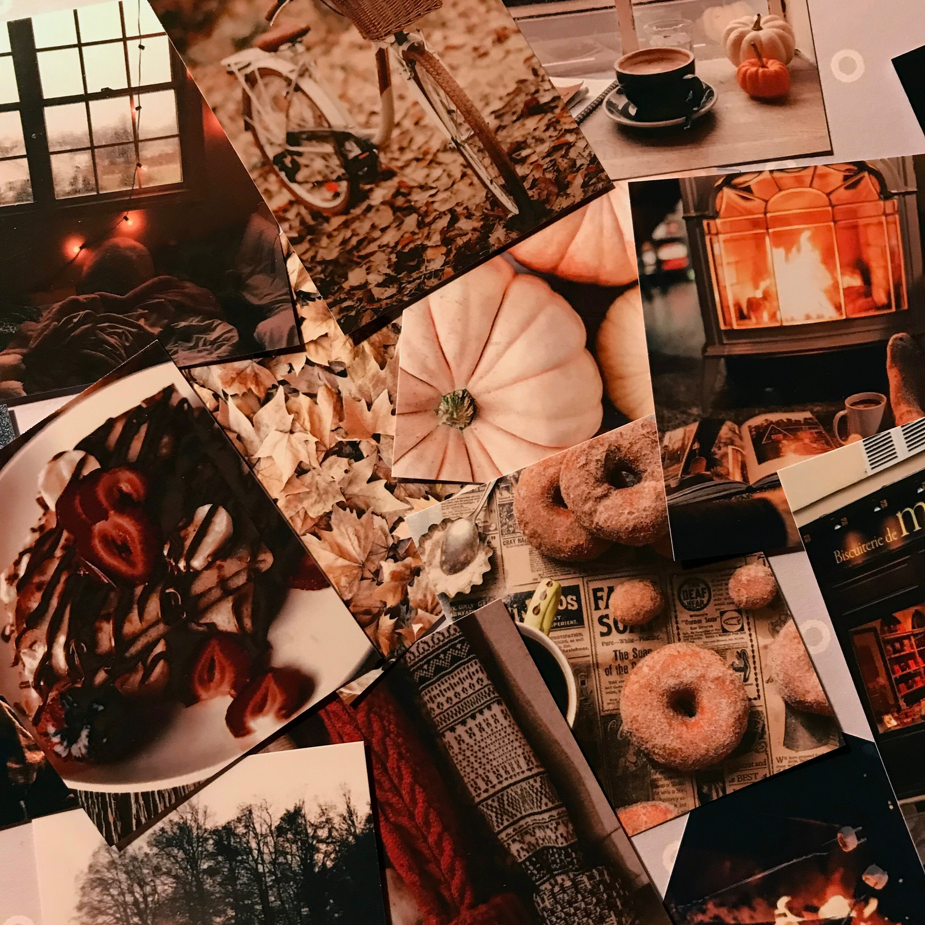 15 Pcs Autumn Polaroid Photos - Etsy