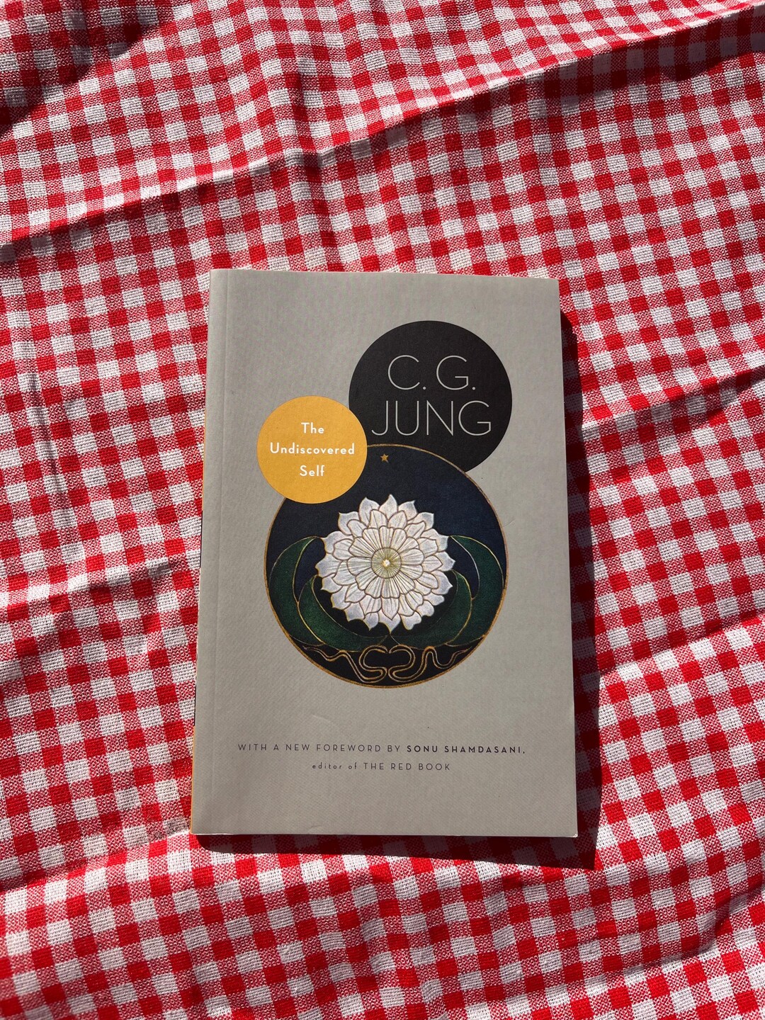 The Undiscovered Self By Carl Jung Etsy