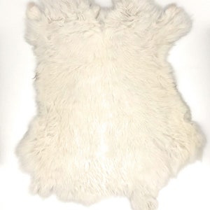 Assorted Natural Color Rabbit Fur Pelts - Craft Grade 5pk Assorted! - Etsy