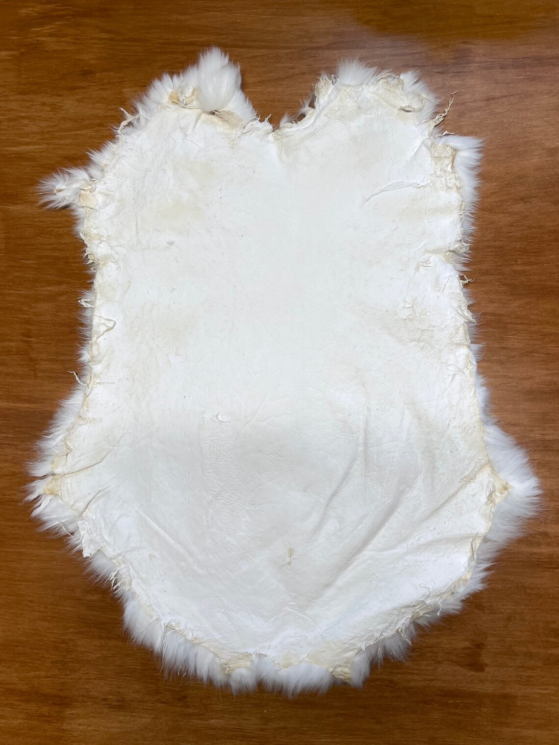 Rabbit Fur Pelts Craft grade white | Etsy