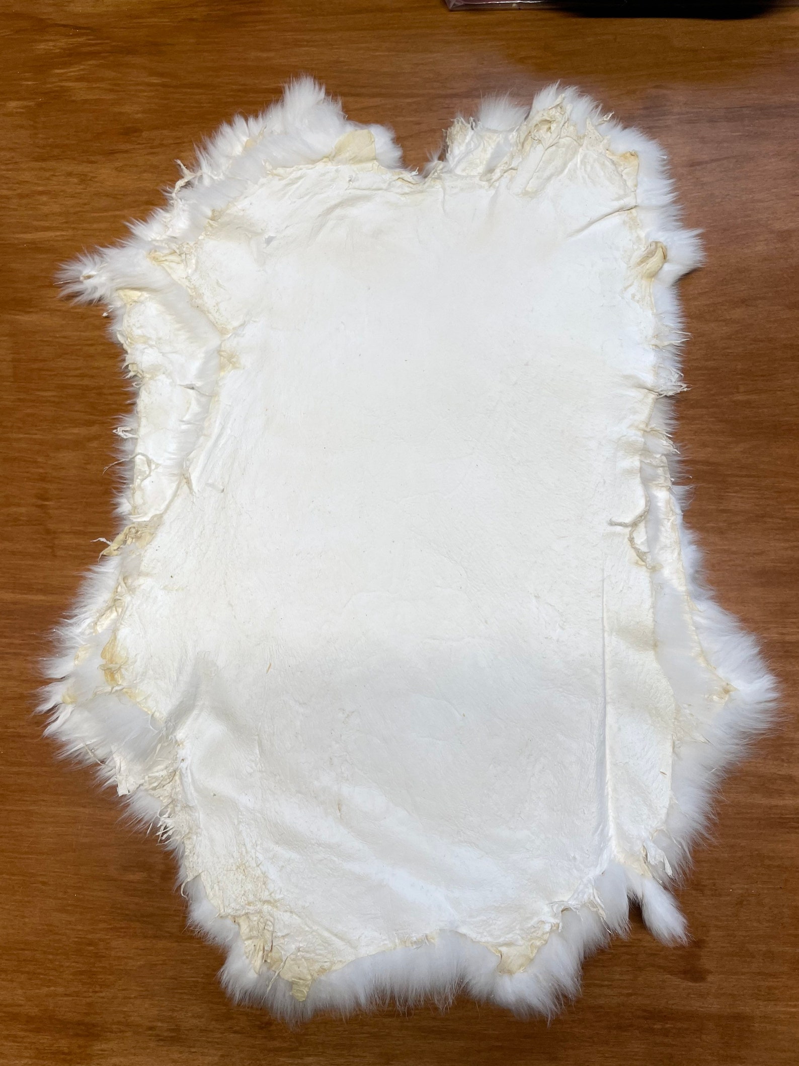 Rabbit Fur Pelts Craft grade white | Etsy