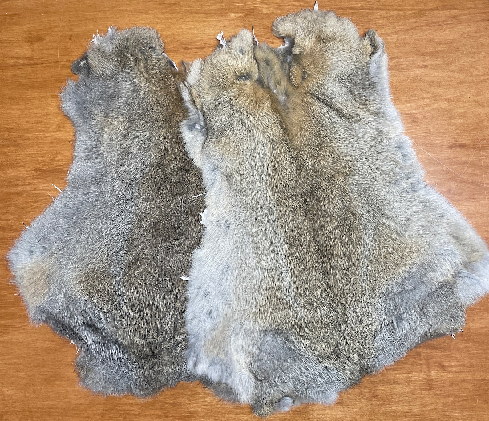 1 Pcs Natural Color Rabbit Fur Pelts Craft Grade Assorted - Etsy