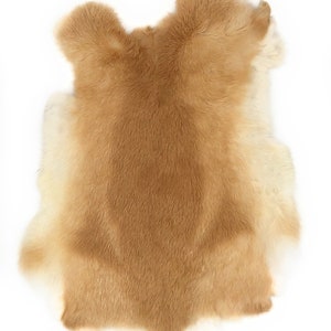 Assorted Natural Color Rabbit Fur Pelts - Craft Grade 5pk Assorted! - Etsy